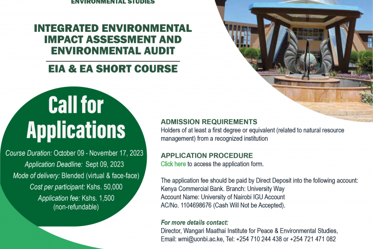 CALL FOR APPLICATIONS: INTEGRATED ENVIRONMENTAL IMPACT ASSESSMENT AND ENVIRONMENTAL AUDIT (EIA ...